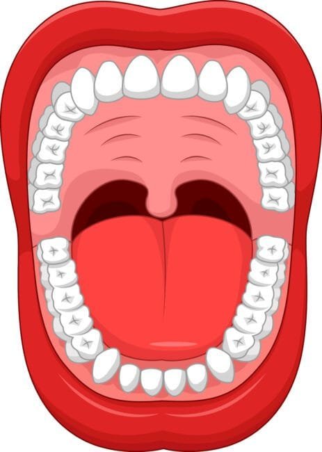 Hiperdontia: O Que Fazer Quando Nascem Dentes A Mais Na Boca?